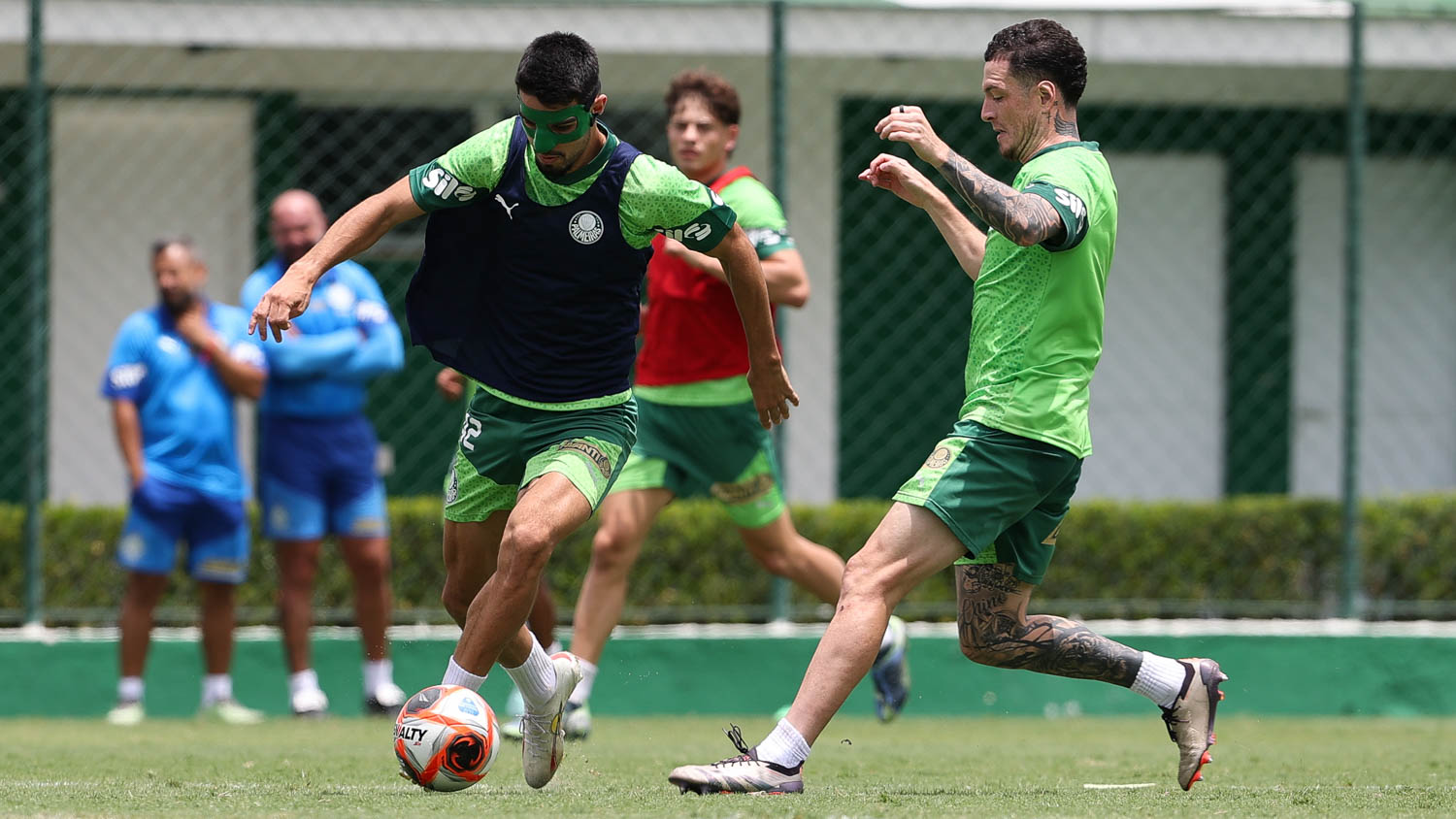 Palmeiras treina parte tática, e Piquerez faz trabalhos à parte na ...