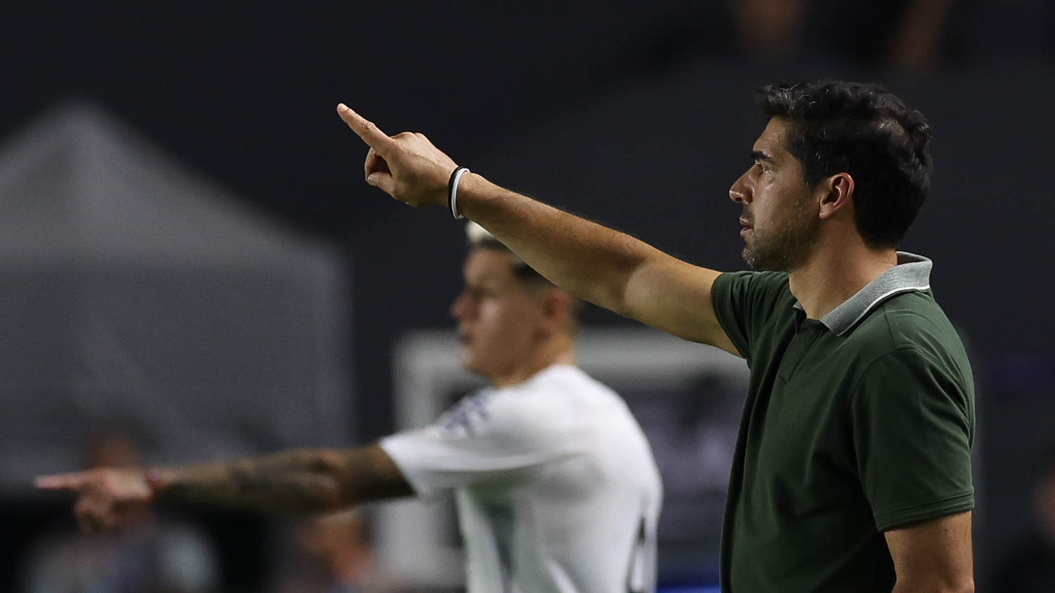 Abel elogia consistência do Palmeiras e manda recado a Claudinho ...