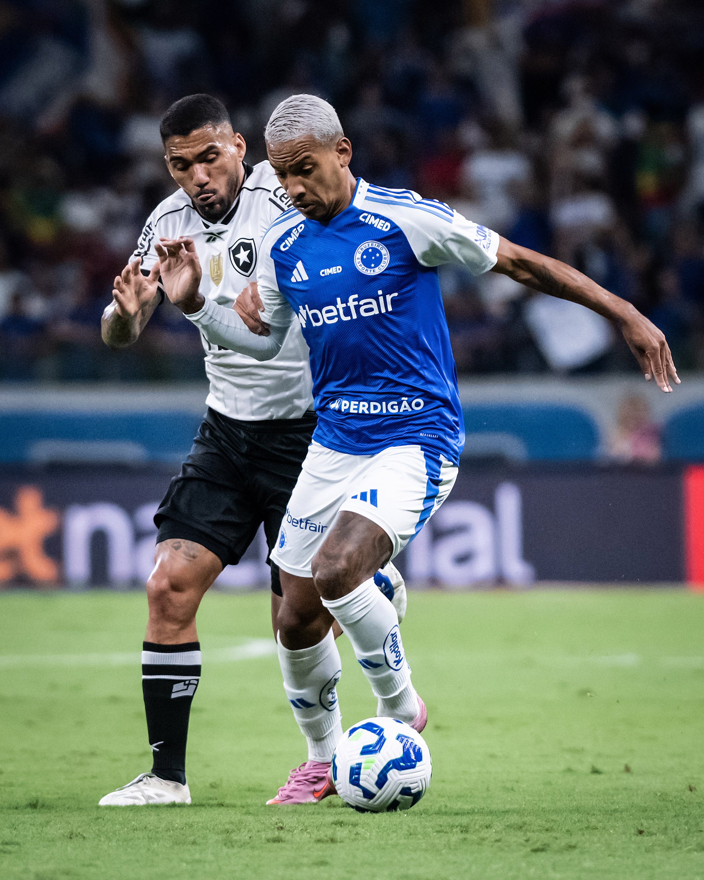 Cruzeiro empata com Botafogo e define Palmeiras como vice-campeão do ...