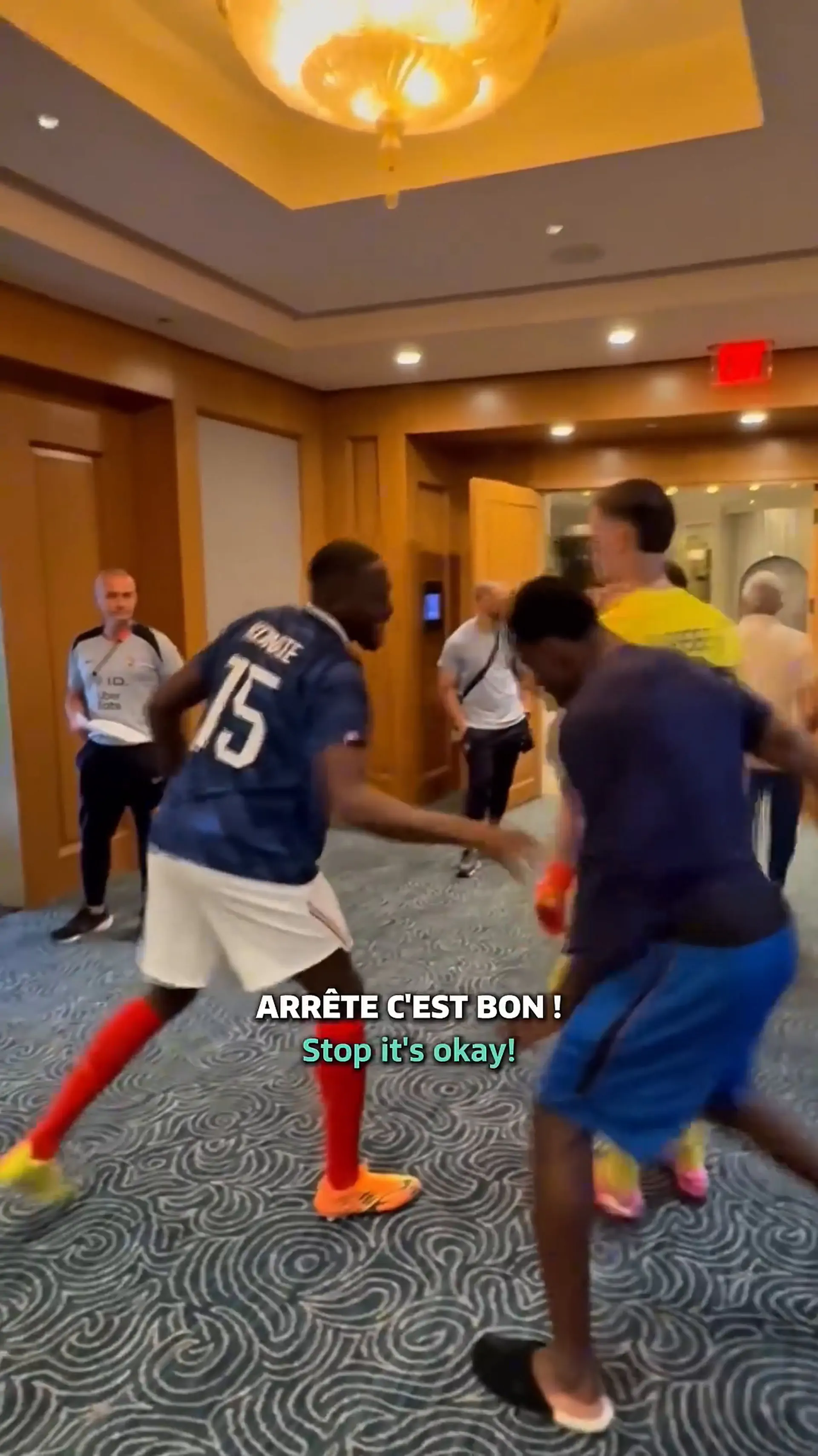 Quem fez graça e quem manteve a pose no ensaio oficial da França ...