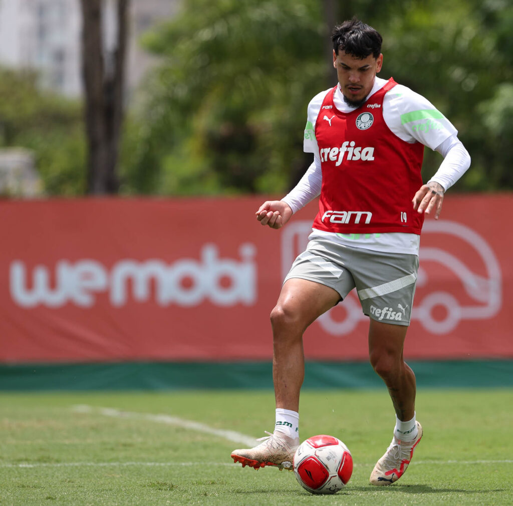 Veja galeria de fotos do treino do Palmeiras deste sábado na Academia ...