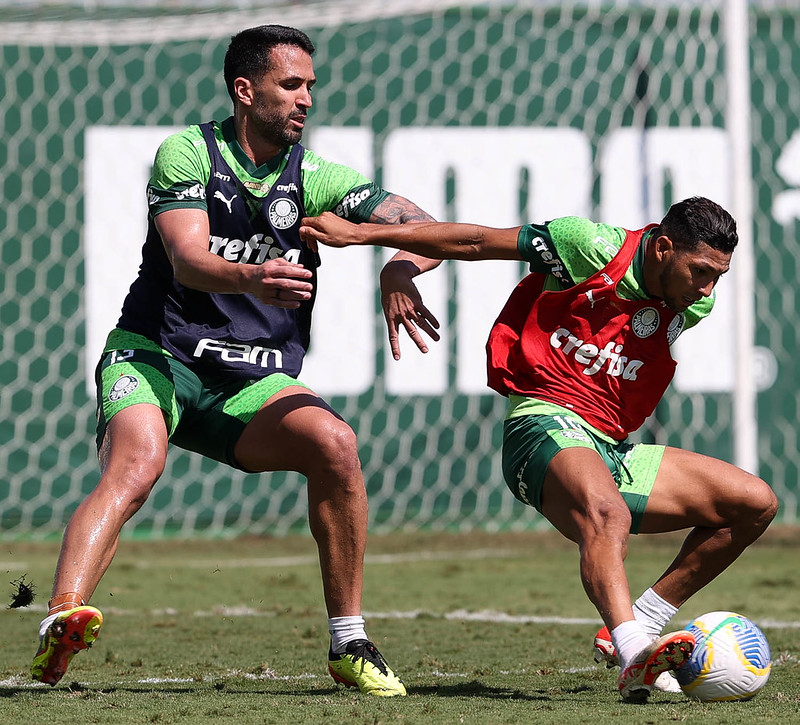Veja fotos do treino do Palmeiras deste sábado - Gazeta Esportiva