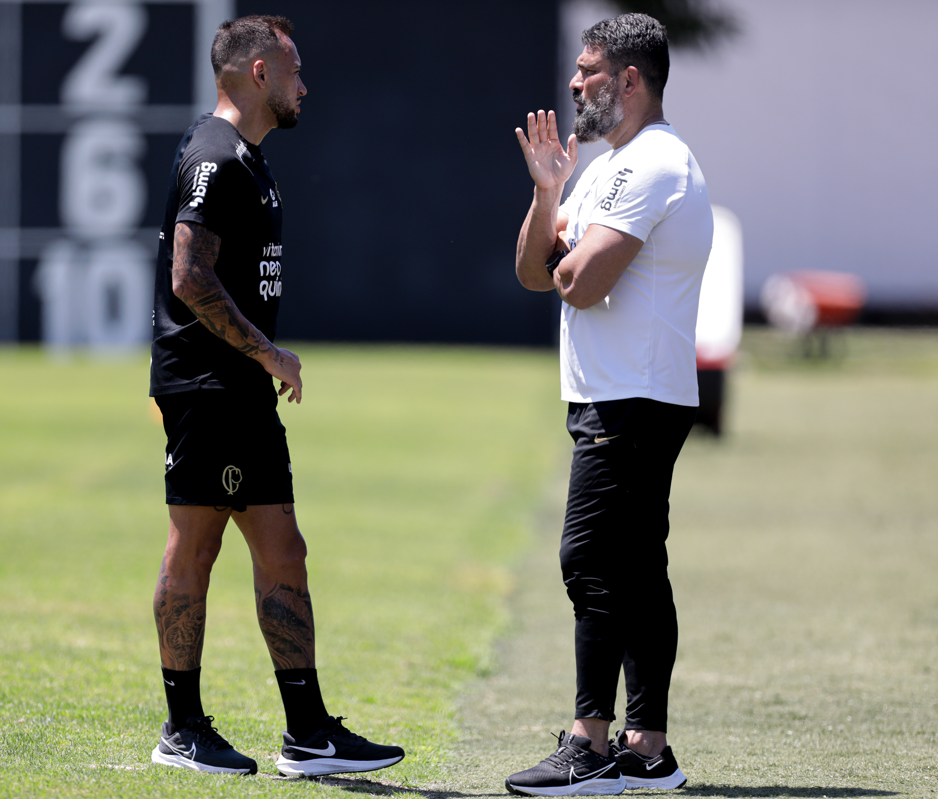 Coordenador do núcleo de saúde e performance, Bruno Mazziotti deixa ...