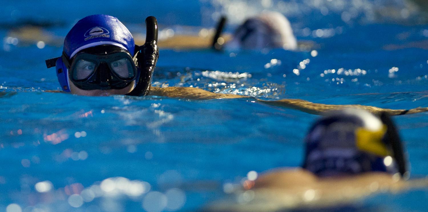 Fotos: Campeonato Mundial de Rúgbi Subaquático - Gazeta Esportiva