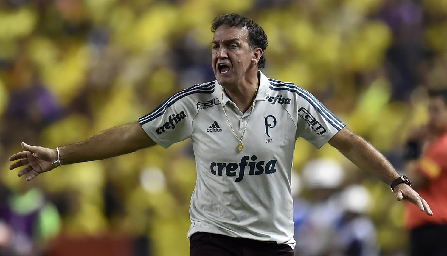 Cuca vê volta como final e planeja “melhorar em todos os sentidos ...