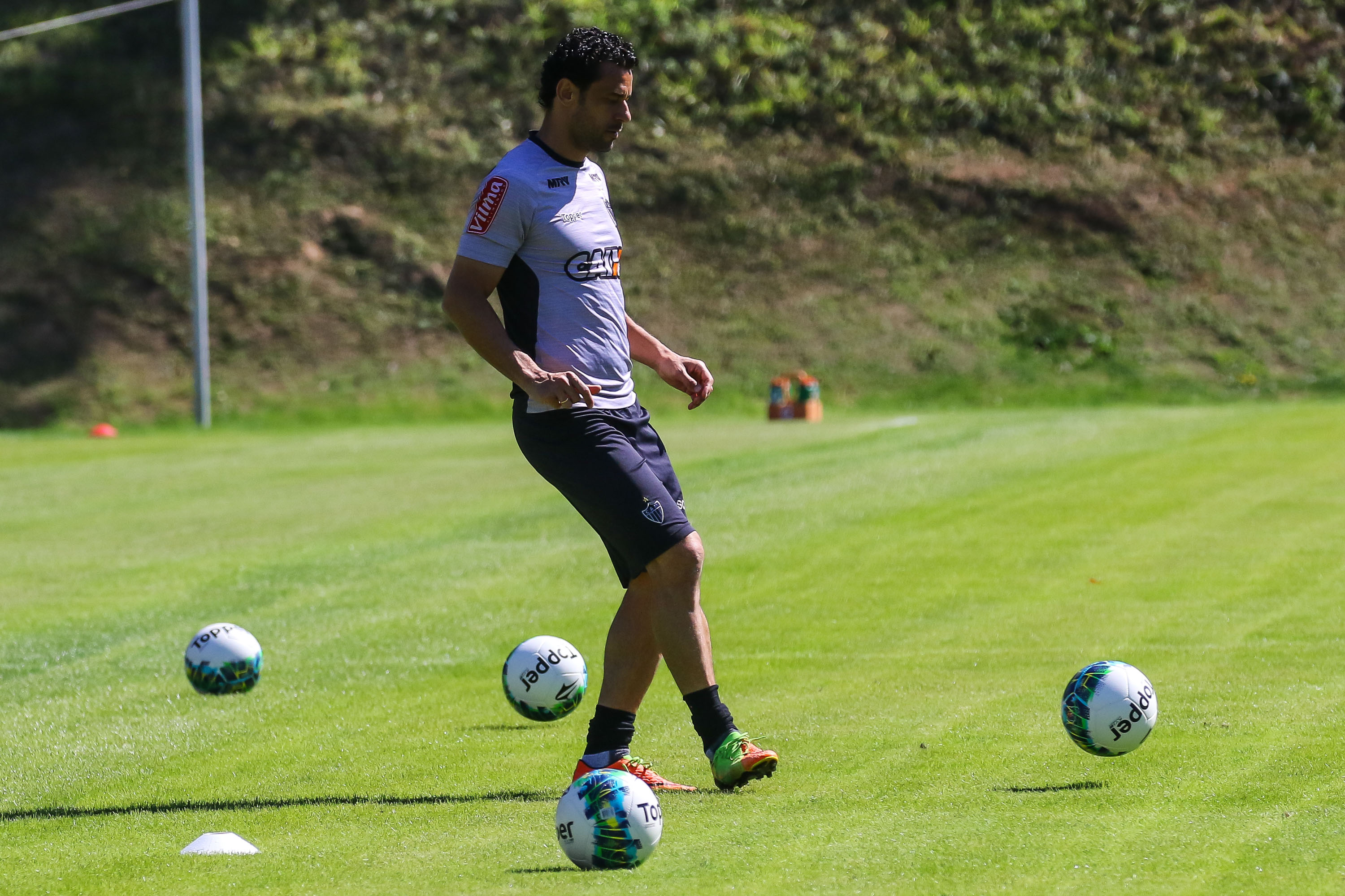 Micale arma o Galo para o Palmeiras com Fred e Robinho no ataque ...