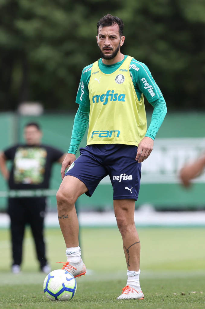 Confira fotos da representação do Palmeiras nesta segunda-feira ...