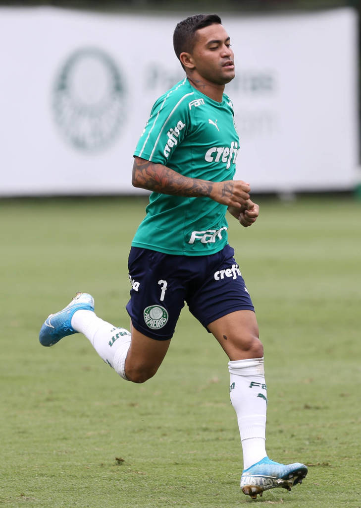 Veja fotos do último treino do Palmeiras antes da viagem aos EUA ...