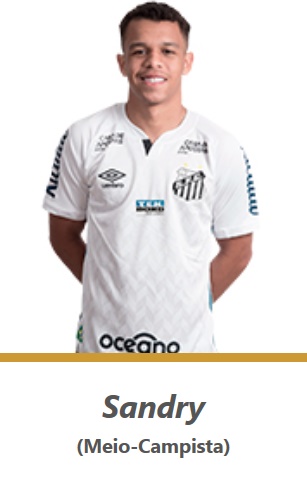 Ex-Santos, Alan Cardoso é o novo reforço do Santa Cruz - Gazeta Esportiva