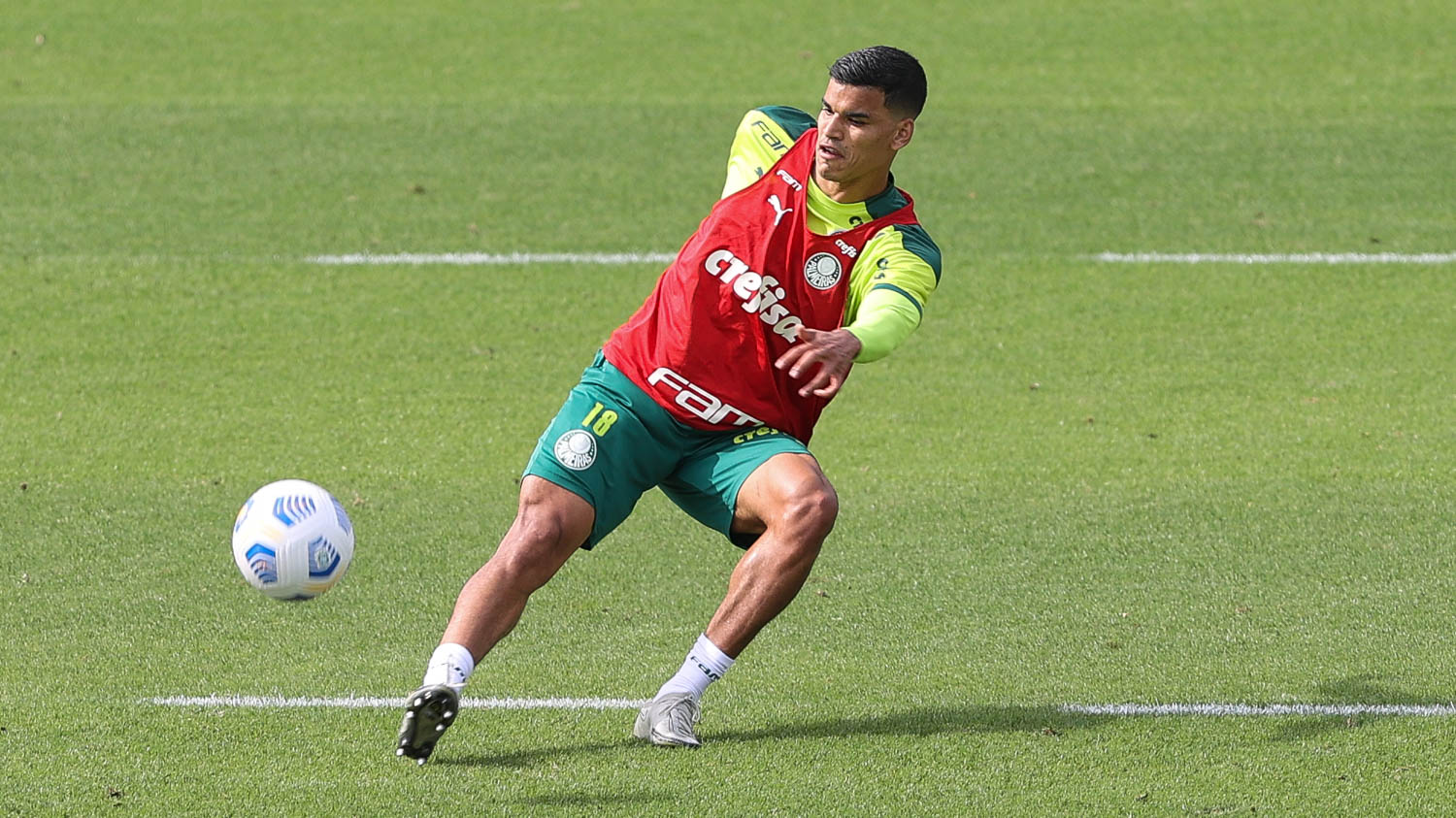 Danilo Barbosa atuou por apenas 45 minutos pelo Palmeiras nos últimos ...