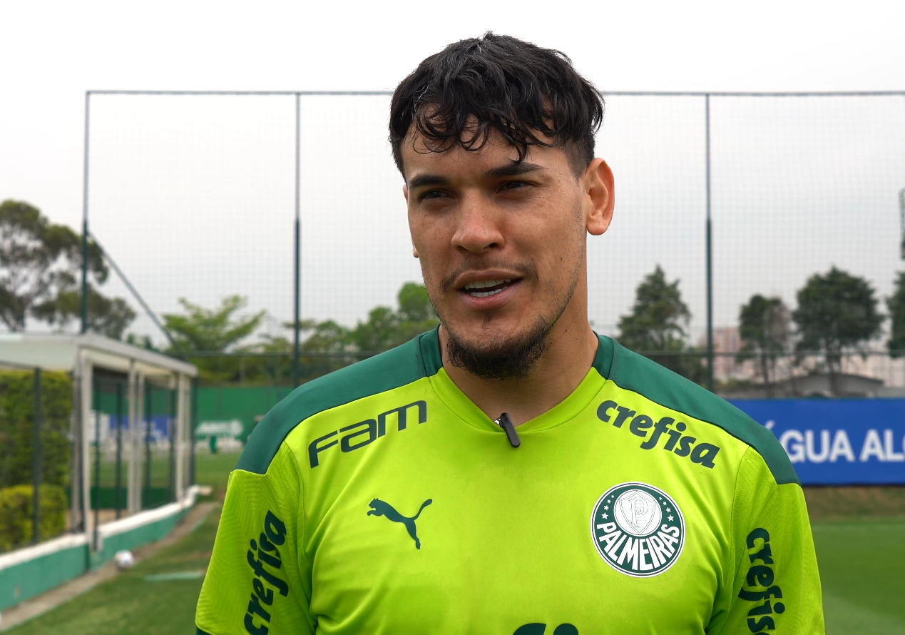 Gómez destaca força do Flamengo, mas diz que Palmeiras trabalhou muito ...