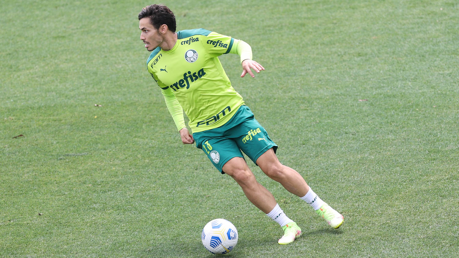 Veiga se anima pelo retorno dos palmeirenses ao Allianz: "Faz toda a ...