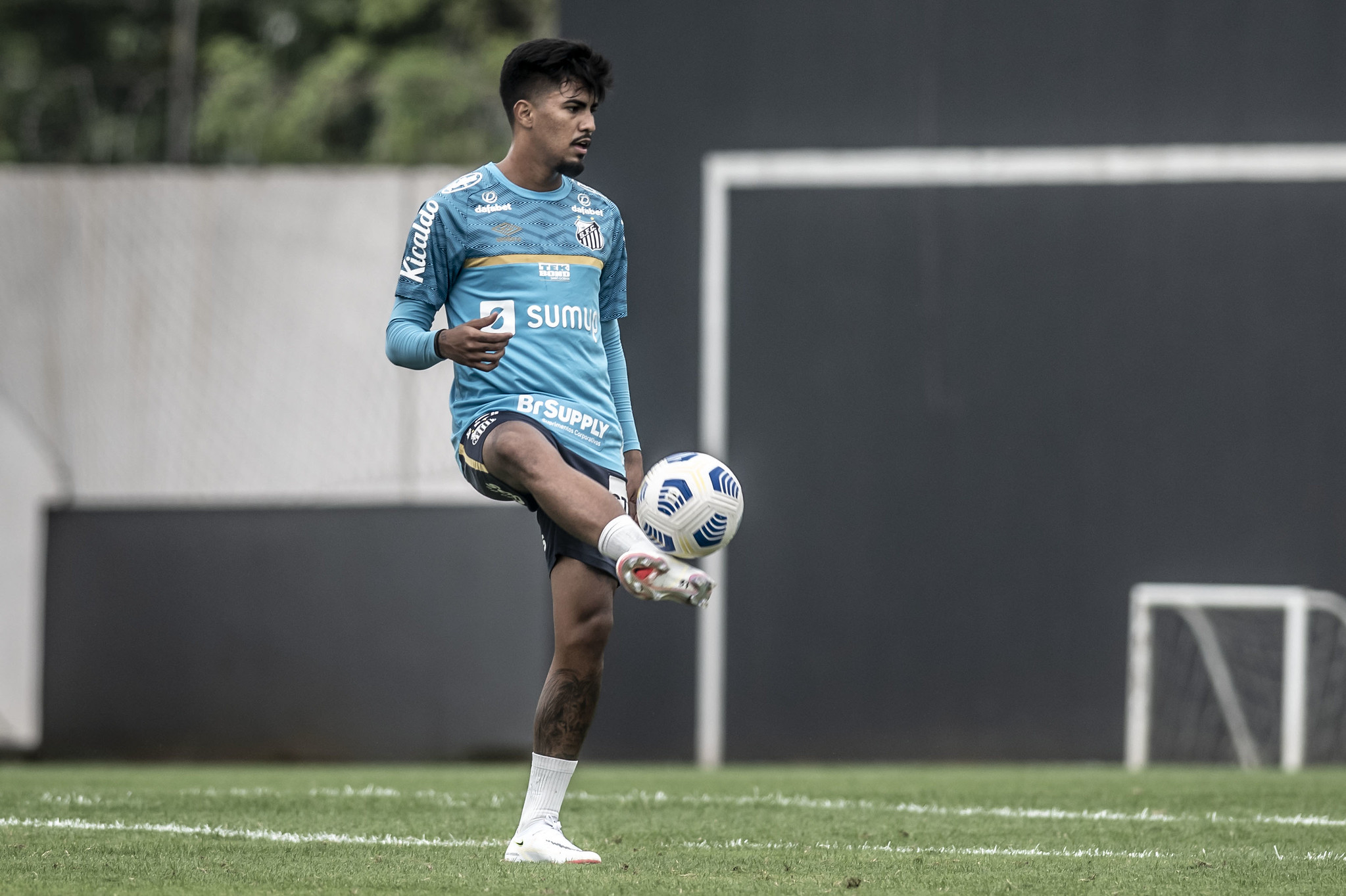 Ivonei perde espaço com Carille e luta até por vaga no banco do Santos ...