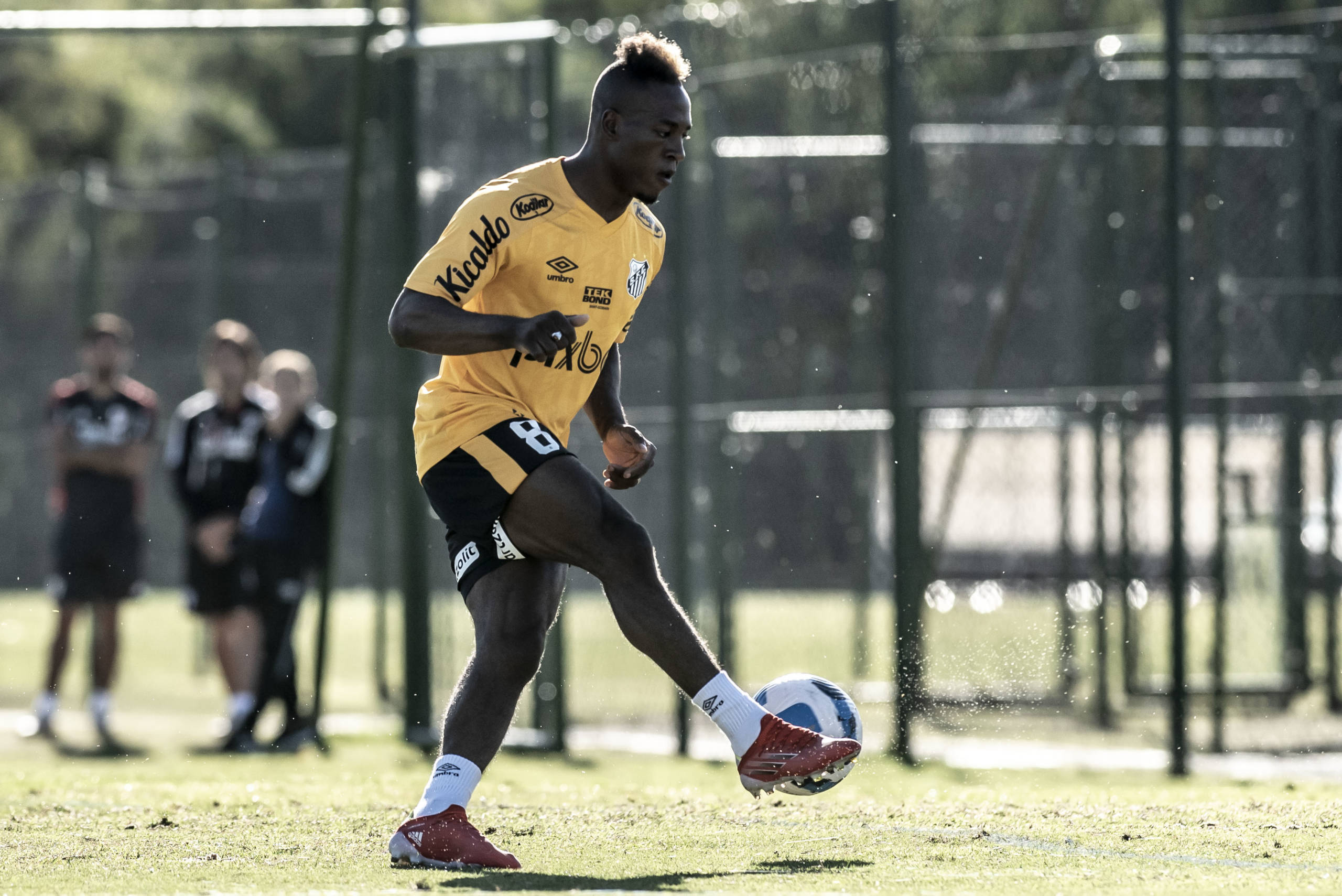 Jhojan Julio não aparece no BID e desfalca o Santos na estreia da Sul ...