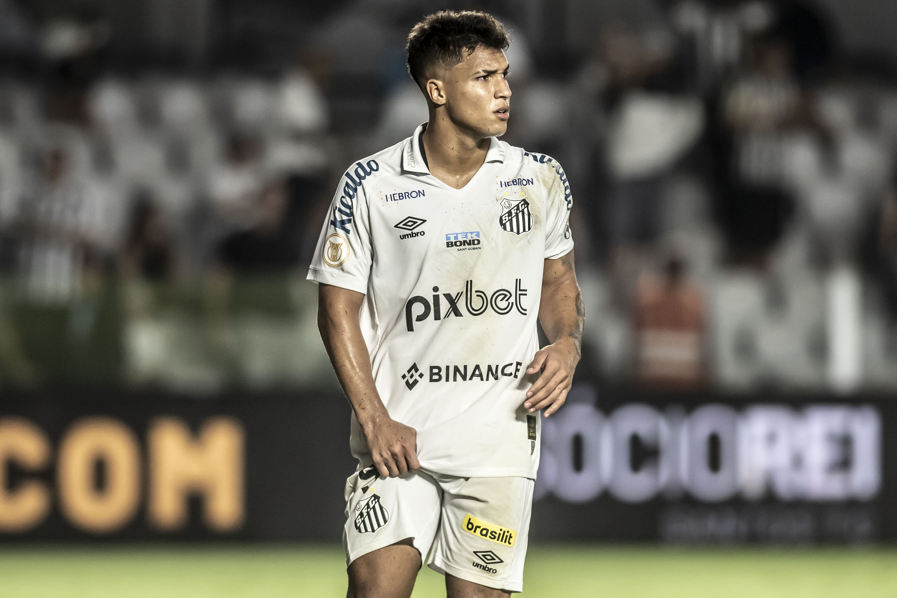 Marcos Leonardo rasga elogios a Bustos e lamenta: "Perdemos um grande ...