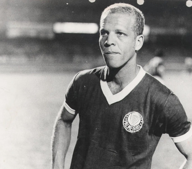 Confira os 10 maiores artilheiros do Palmeiras nos 111 anos de história ...