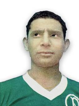 Confira os 10 maiores artilheiros do Palmeiras nos 111 anos de história ...