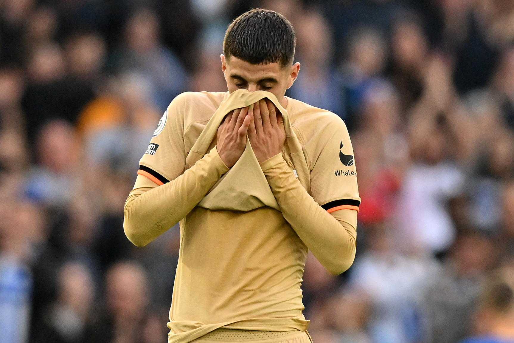 Confira imagens da derrota do Chelsea para o Brighton no Campeonato ...