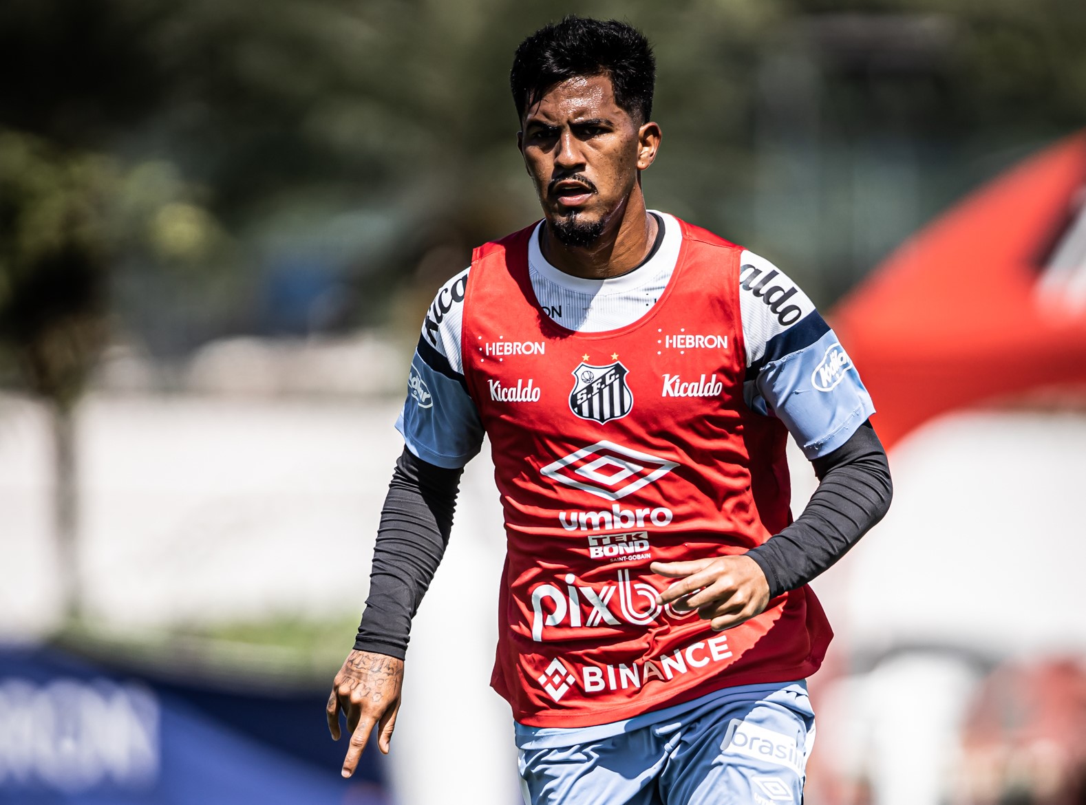 Ivonei analisa mês de treinos do Santos e mira título da Sul-Americana ...