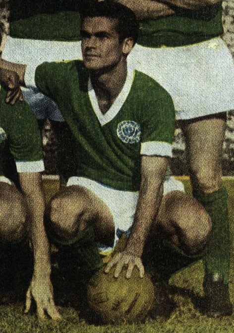 Palmeiras lamenta falecimento de Rinaldo, ídolo da Primeira Academia ...