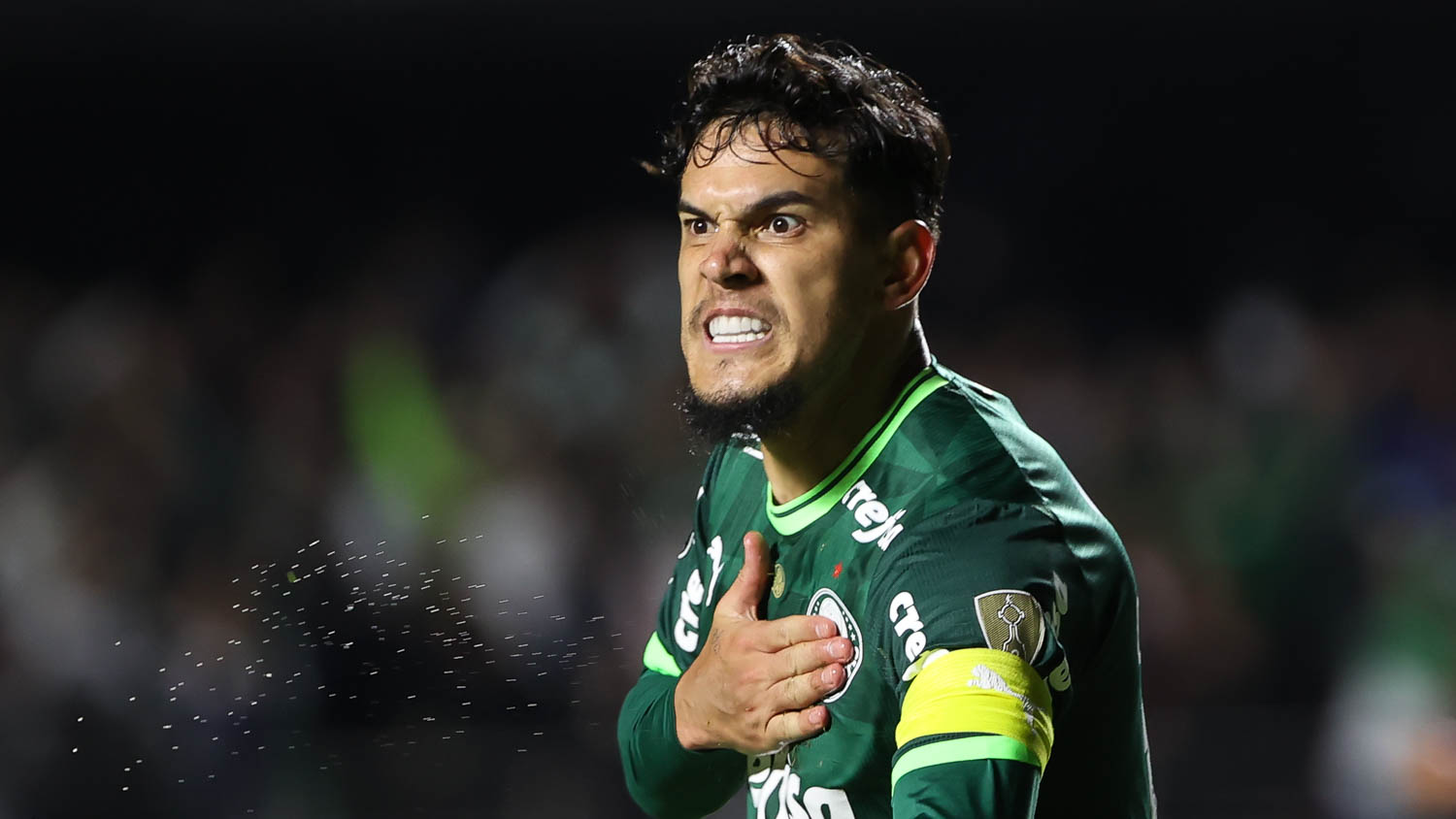 Gómez marca 30º gol pelo Palmeiras e sobe ainda mais na lista de ...