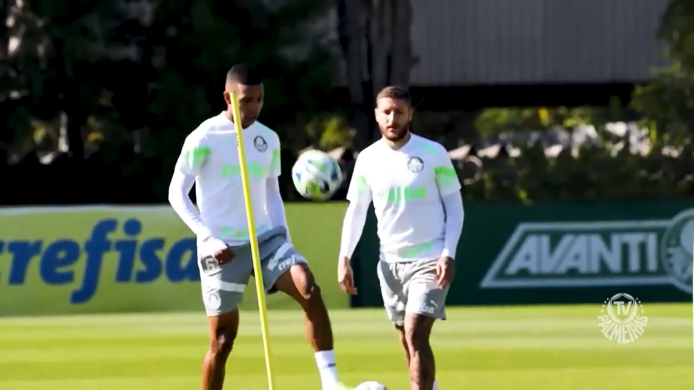 Palmeiras volta a treinar focado em se recuperar no Brasileirão ...