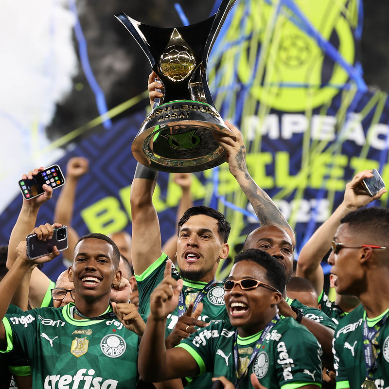 Raio-x do Palmeiras no Brasileirão: veja histórico, tabela e ...